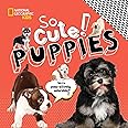 So Cute! Puppies (Cool/Cute): Boyer, Crispin: 9781426339066: Amazon.com ...