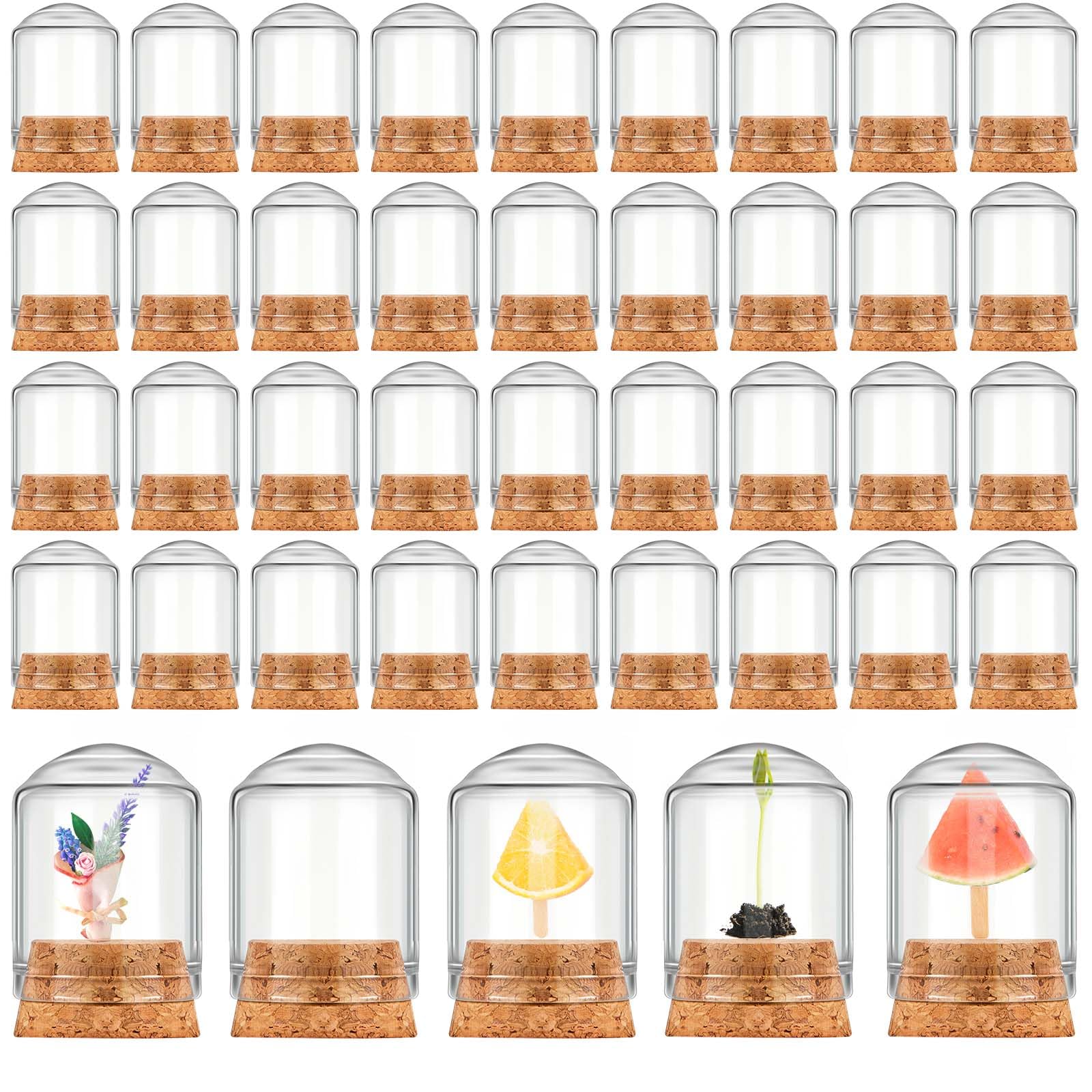 Barydat 50 Pcs 8ml Cloche Glass Dome with Cork Lids Cloche Bell Jar ...