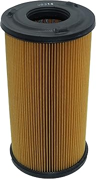 Amazon.com : 3757472M91 AGCO AIR FILTER : Garden & Outdoor