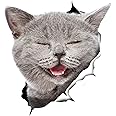 Amazon.com - Winston & Bear 3D Cat Stickers - 2 Pack - Laughing Grey ...