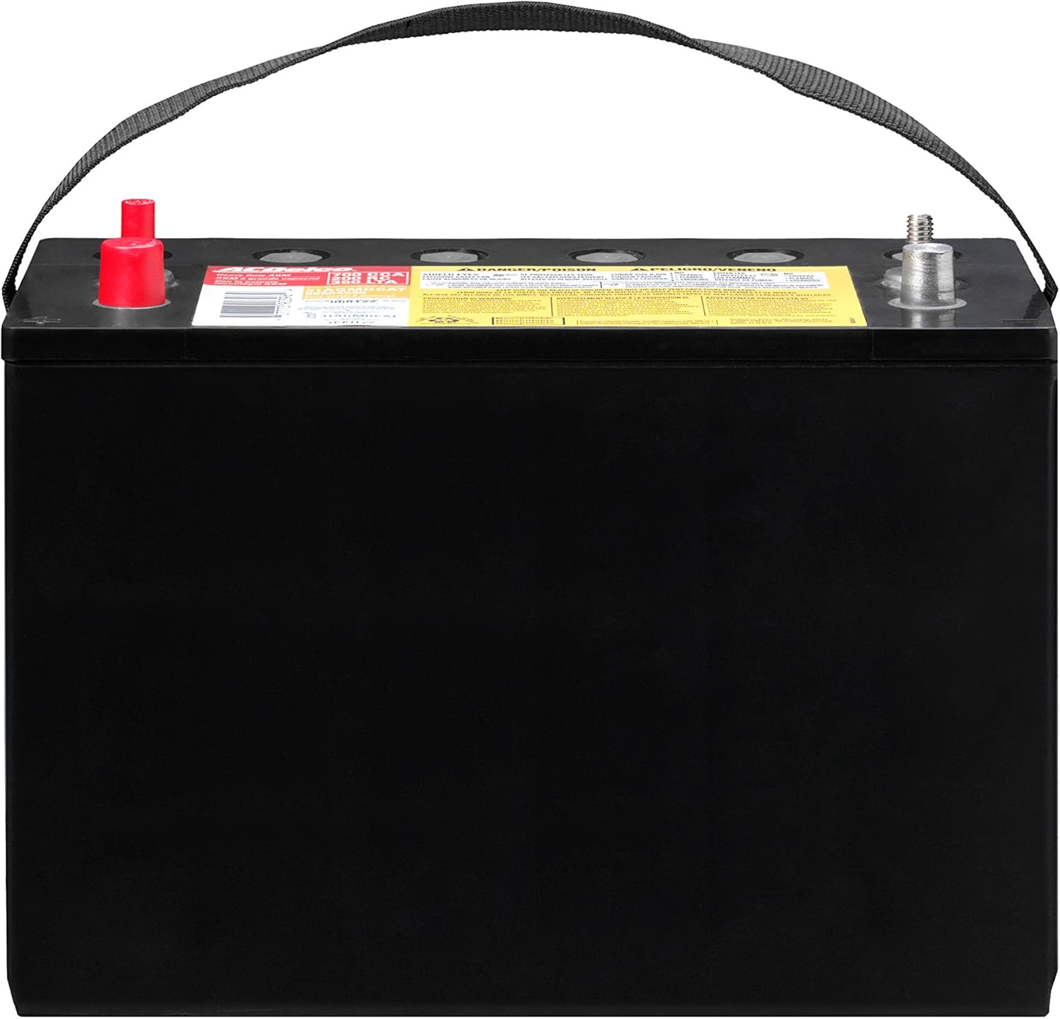 ACDelco 31AGMDCAT Professional AGM Heavy Duty BCI Group 31 Battery ...