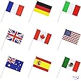 Amazon.com: 50 Countries International World Stick Flag,Hand Held Small ...
