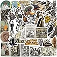 Amazon.com: Medieval Witch Stickers,Witchy Stickers,Vintage Aesthetic ...