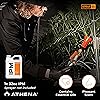 Athena IPM All-in-One Pest Control - Broad Spectrum Fungicide ...