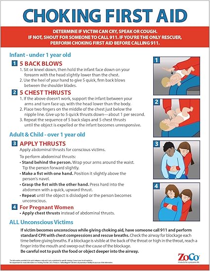 Amazon.com: Safety Magnets Choking First Aid Poster - Choking Victim ...
