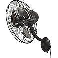 Amazon.com: Ironton Oscillating Wall-Mount Garage Fan - 14in., 2200 CFM ...
