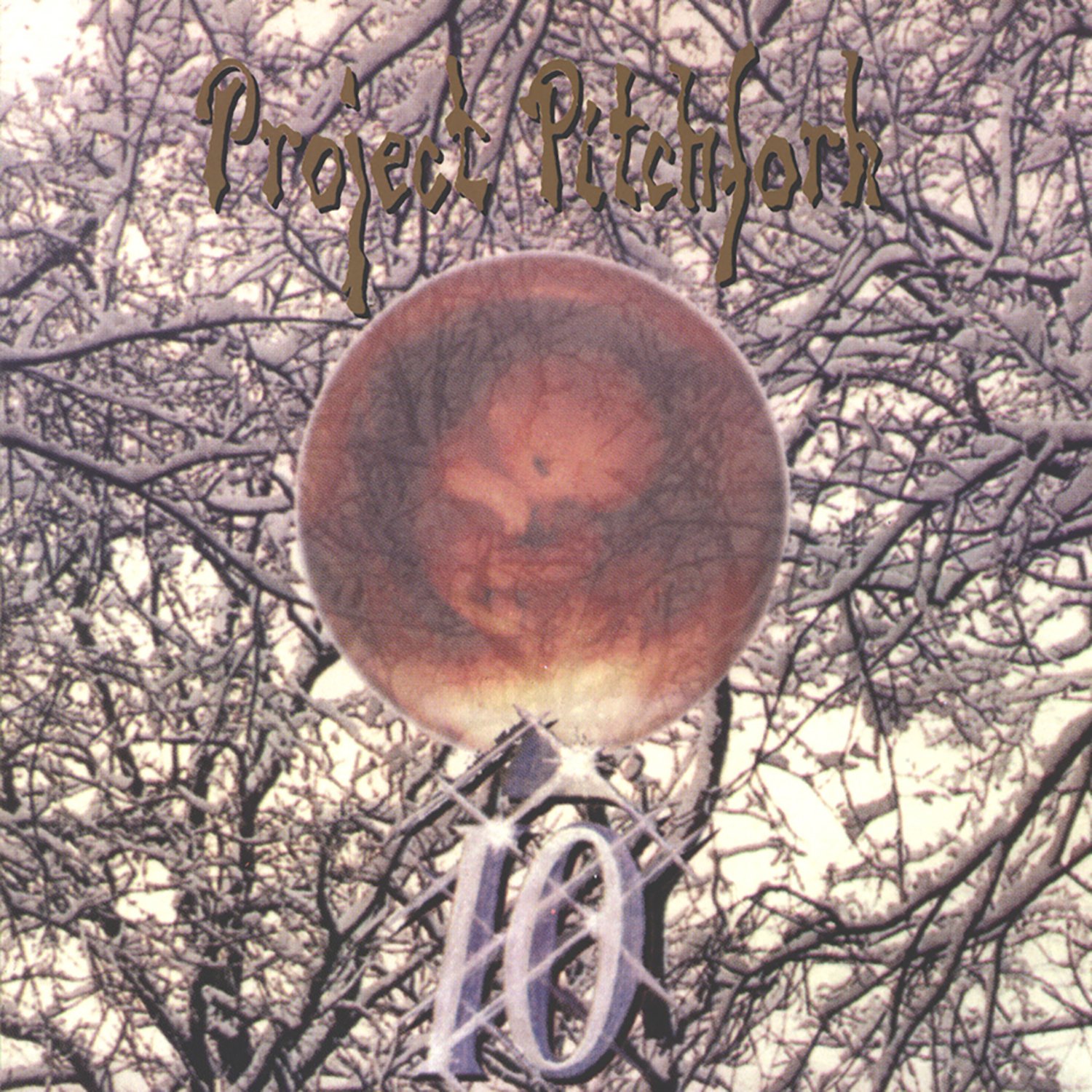 Project Pitchfork - Io - Amazon.com Music