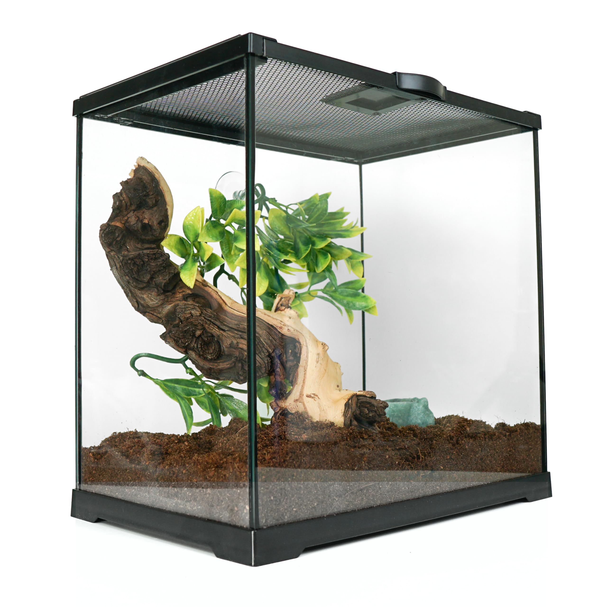 Reptile Terrarium - 5 Gallon Small Glass Tank (12” x 12” x 8”) with ...