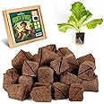 Amazon.com: Hapxalie Root Riot, Eco-Friendly Biodegradable Material ...