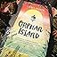 Orphan Island: Laurel Snyder: 9780062443410: Amazon.com: Books