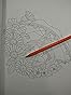 Amazon.com: 50 SPRING MINIATURES: A Spring Coloring Book, Featuring 50 ...