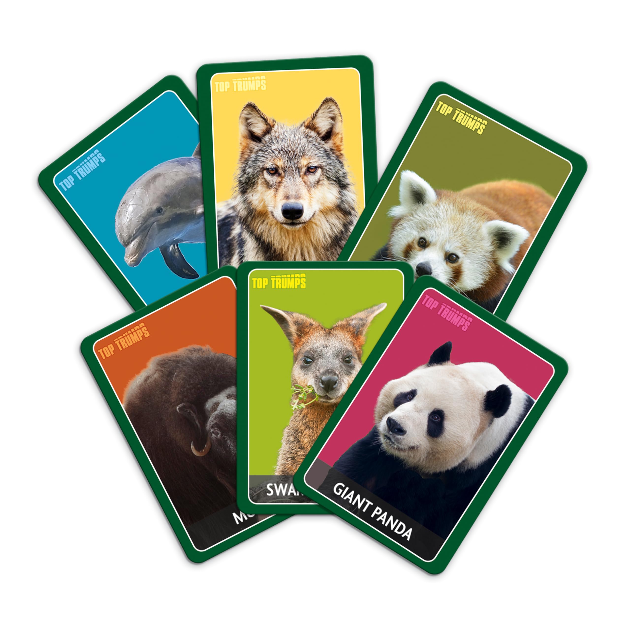 Mua Top Trumps Match Game Awesome Animals - Family Board Games for Kids ...