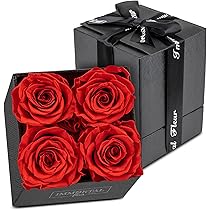 velvet Box Eternal Box Roses bucket bouquet Gift Real Preserved Flowers Annivers - munimoro.gob.pe