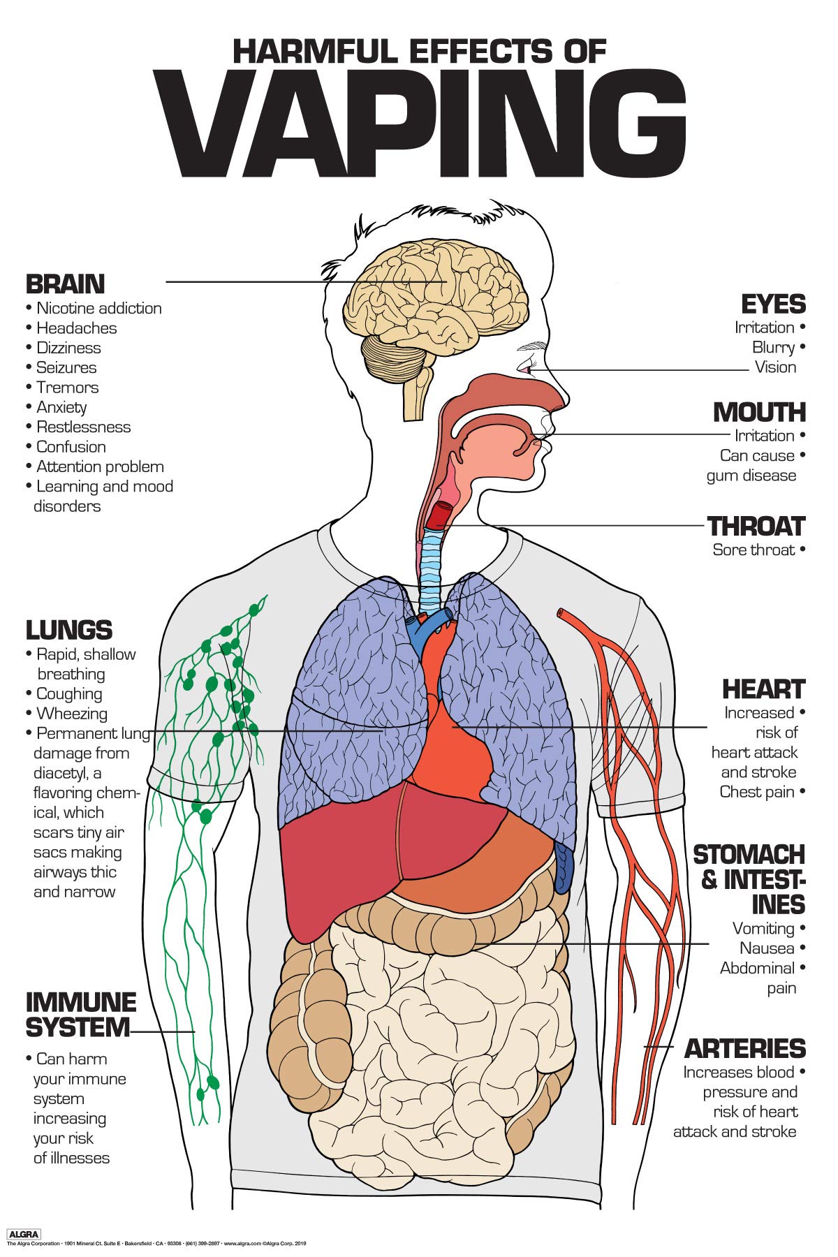Mua Harmful Effects of Vaping Laminated Poster (24" x 36") trên Amazon ...
