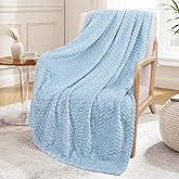 Amazon.com: Bedsure Fleece Throw Blanket for Couch Light Blue ...