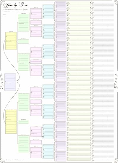 Family Tree Chart; Compact 8 Generation Pedigree Chart 120g Paper ...