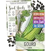 Amazon.com : HOME GROWN Luffa Seeds - (Bulk Pack) 40 Non-GMO, Heirloom ...