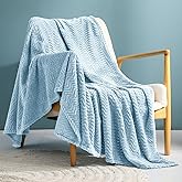 Amazon.com: Bedsure Fleece Throw Blanket for Couch Light Blue ...