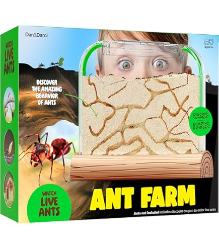 Largest Ant Farm