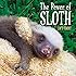 A Little Book of Sloth: Amazon.de: Lucy Cooke: Fremdsprachige Bücher