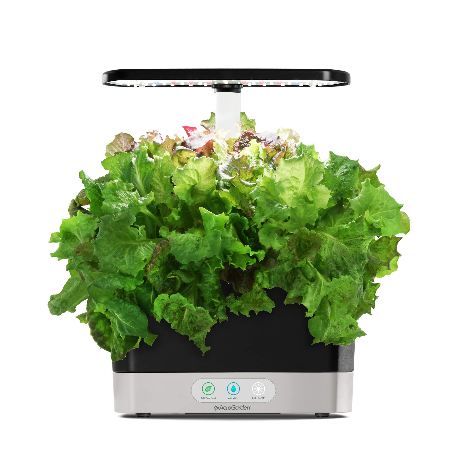 Mua Aerogarden Salad Greens Seed Pod Kit with Red and Green Leaf ...