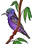 Amazon.com: Rainforest Birds: A Special Edition Coloring Book (Animal ...