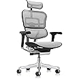 Amazon.com: Ergohuman Eurotech GEN2 High Back, Mesh Executive Office Chair with Adjustable ...