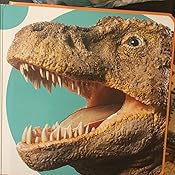 Amazon.com: Touch and Feel: Dinosaur (9780756692889): DK: Books