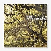Amazon.com: The Invisible Band: CDs & Vinyl