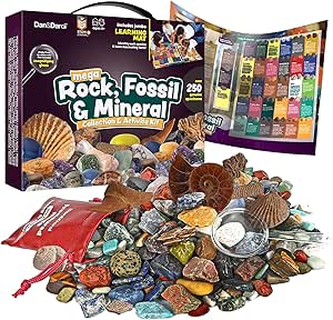 Amazon.com: Mega Rock, Fossil & Mineral Collection & Activity Kit ...