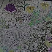 Amazon.com: Geomorphia: An Extreme Coloring and Search Challenge ...