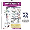 Trigger Point Therapy Chart/Poster Set; Acupressure Charts - Myofascial ...