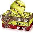 Amazon.com: Briwooody 5 Pcs Softball Decorations Softball Tiered Tray ...