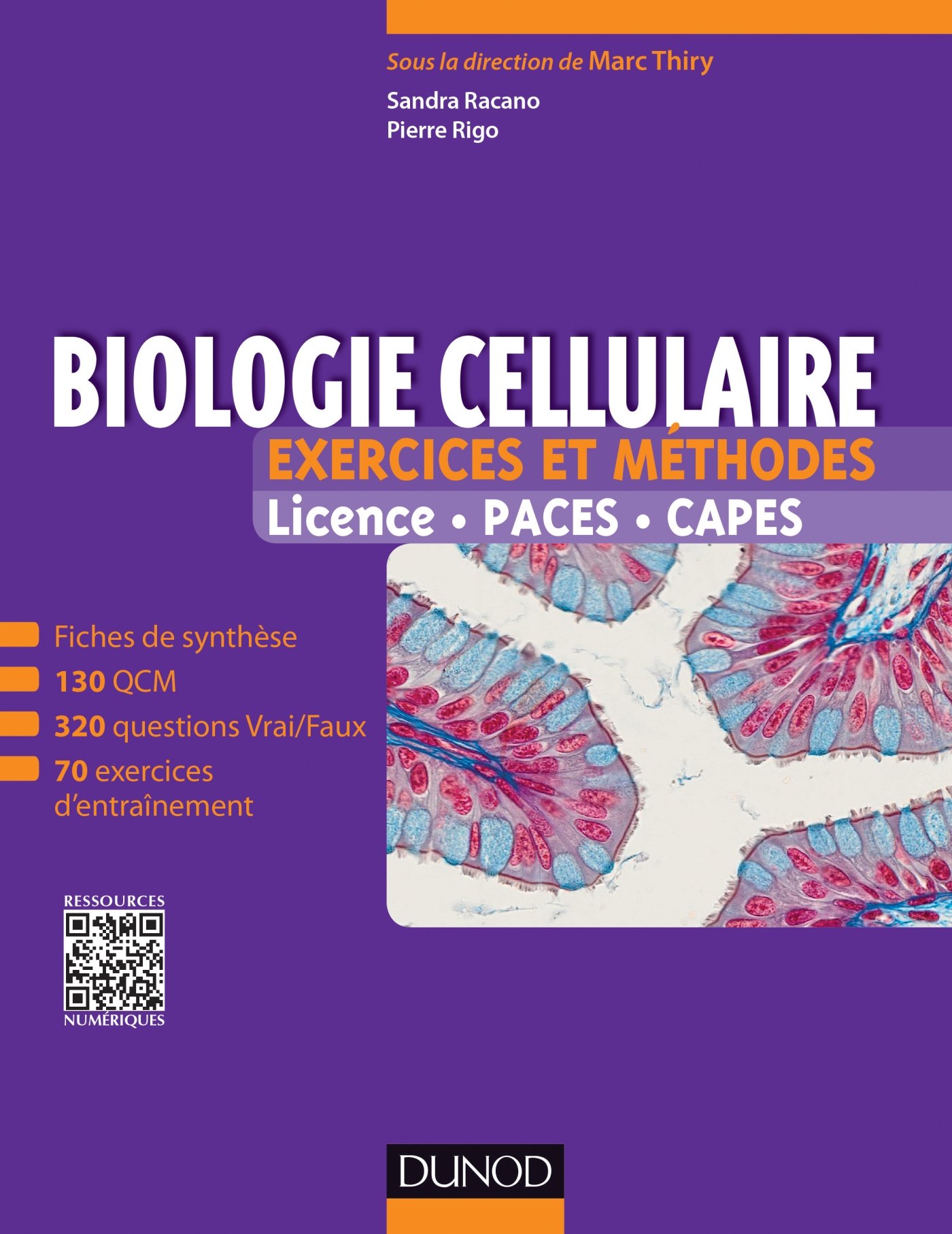 td biologie moléculaire corrigé