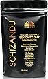 Amazon.com : Schizandu Organics Bentonite Indian Aztec Healing Clay ...