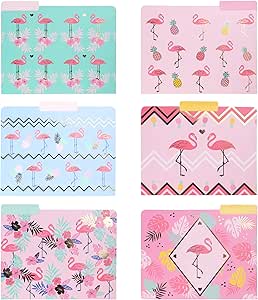 Amazon.com : Letter Size Decorative File Folders with Gold Foil ...