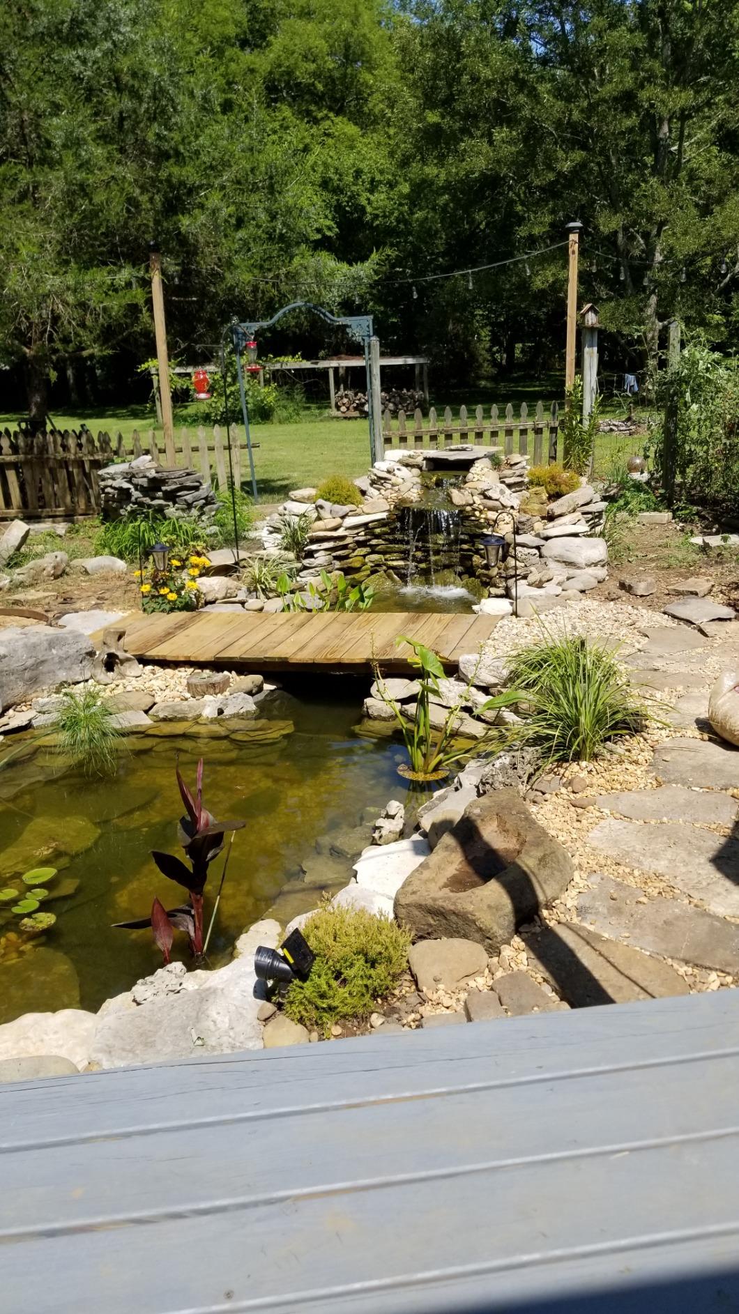 $53/mo - Finance HALF OFF PONDS Complete PRO 5200 Water Garden and Pond ...