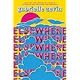 Amazon.com: Elsewhere: A Novel: 9780312367466: Zevin, Gabrielle: Books