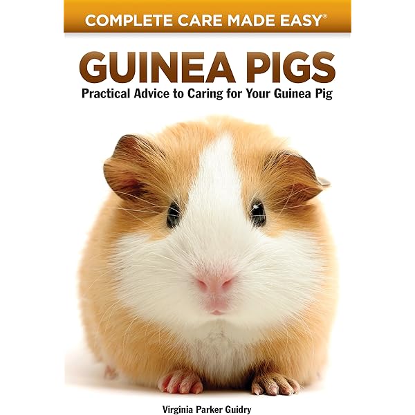 Myra Mahoney's Instagram, Twitter & Facebook on IDCrawl