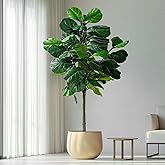 Amazon.com: Yepdin Faux Fiddle Leaf Fig Tree 6 FT - Artificial Ficus Tree with Tall Artificial ...