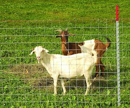 Amazon.com : Keystone Steel & Wire 48x330 4x4 Goat Fencing : Saw Fences ...