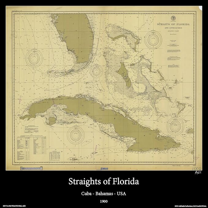 Amazon.com: Print of the Florida Straits - Nautical Chart: Posters & Prints