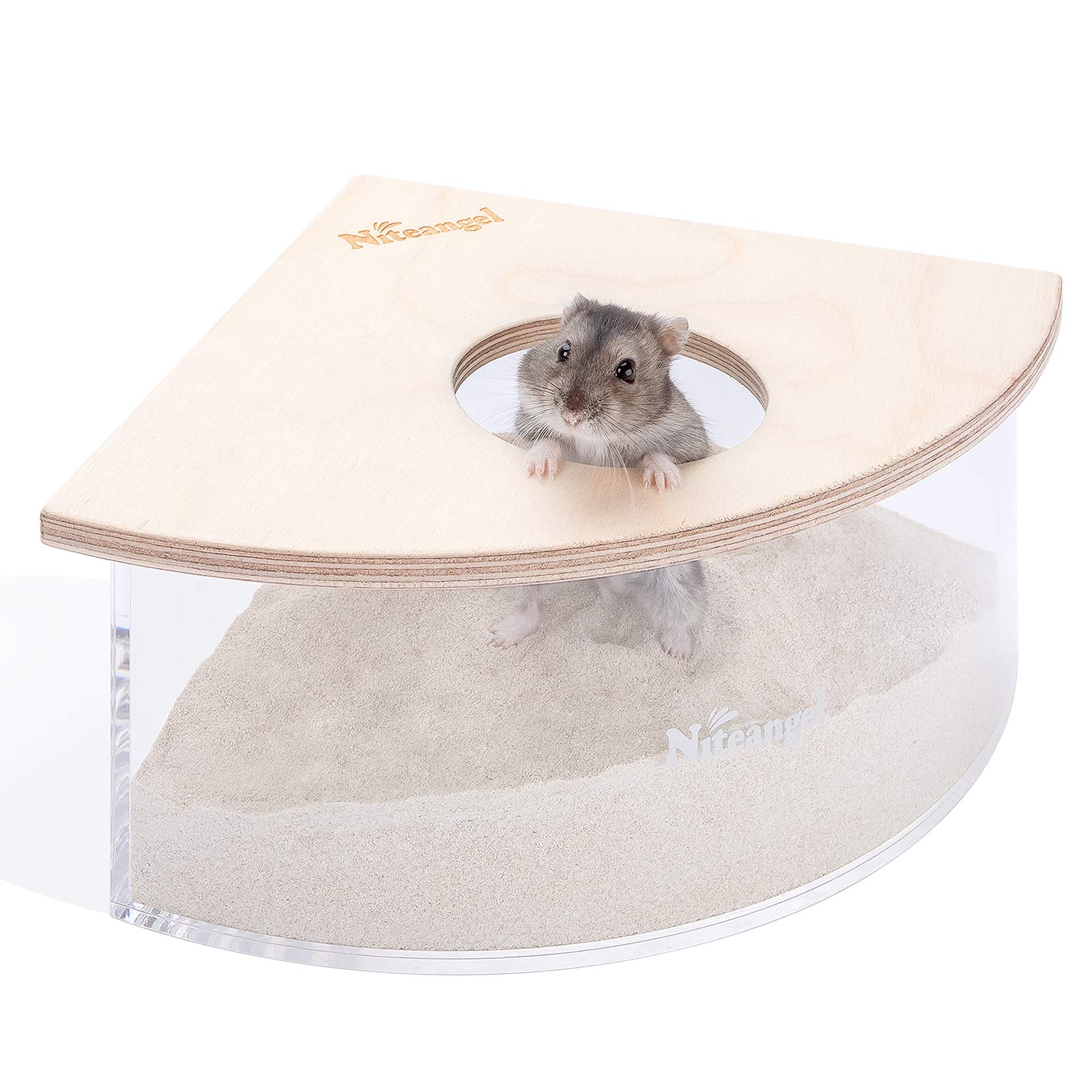 Niteangel Animal Sand-Bath Box: - Acrylic Critter's Sand Bath Shower ...
