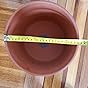 Amazon.com : Large 10 Inch Terracotta Plant Pot with Drainage Hole and ...