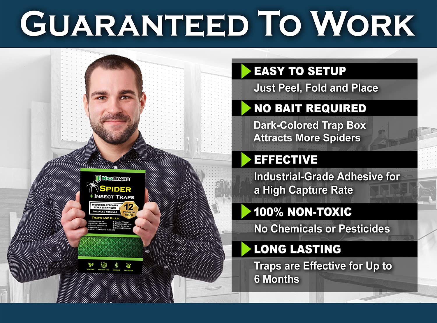 Mua MaxGuard Spider + Insect Traps (12 pcs Box Trap) | Non-Toxic Extra ...