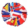 Amazon.com: 43 Pack European Country Flags, Small Flags of the World ...
