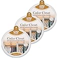 Amazon.com: Citrus Magic Odor Absorbing Solid Air Freshener for Closets ...