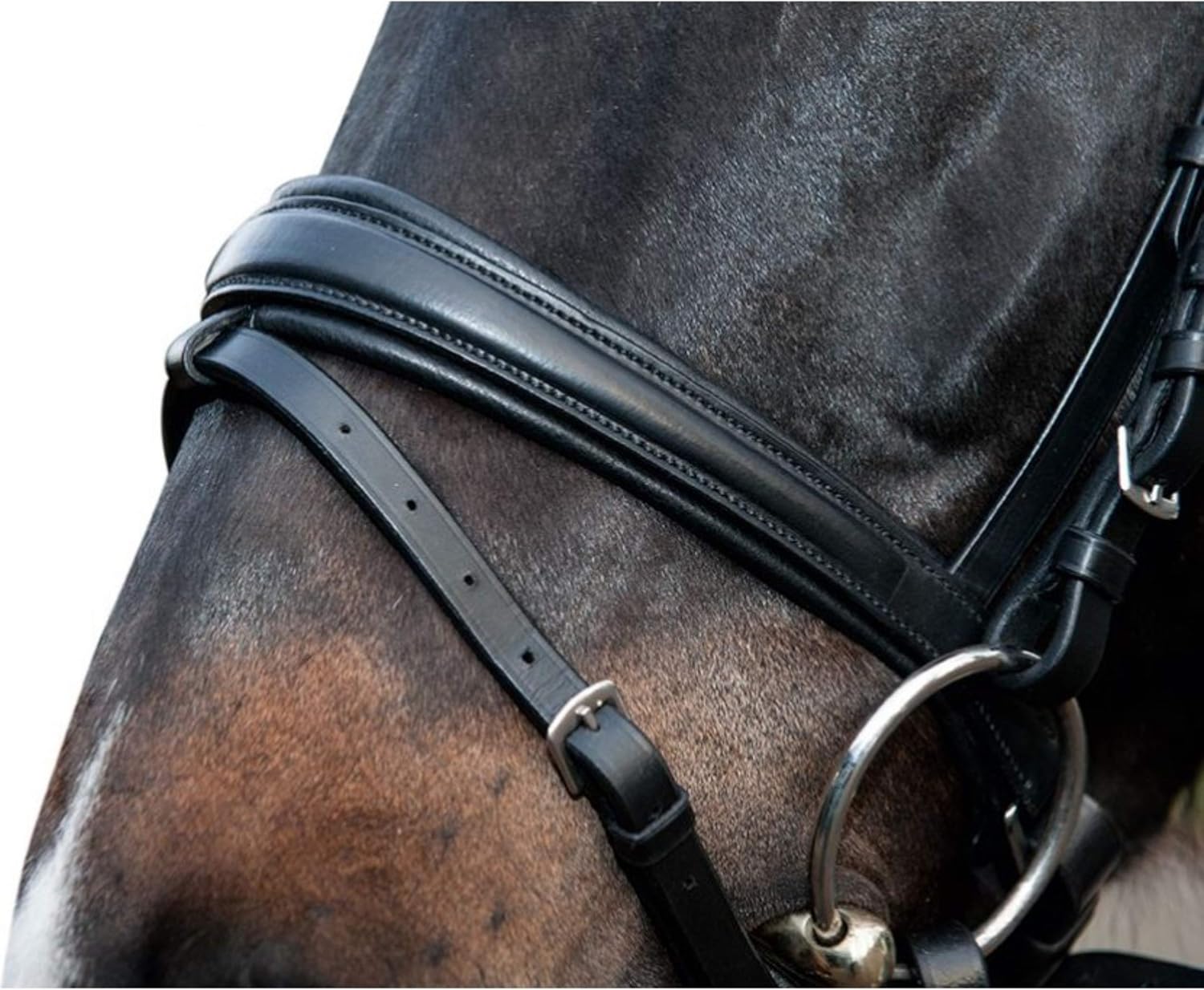 HKM 4057052345890 Horse Bridle Anna with Gel Padding 2400 Brown Pony ...