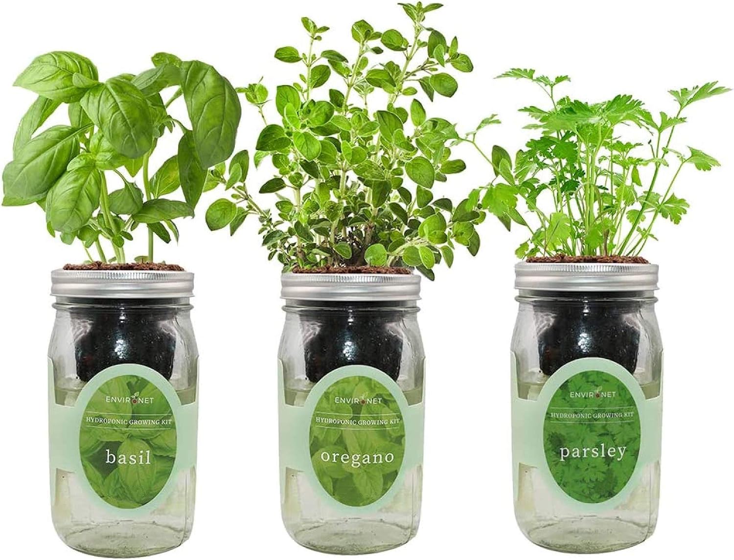Amazon Environet Hydroponic Herb Growing Kit Set Self Watering Amazon Environet Hydroponic Herb Growing Kit Set Self Watering