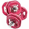 Dumbbells Set with 30lb Weight Plates: BodyRock Free Weights Home Gym ...